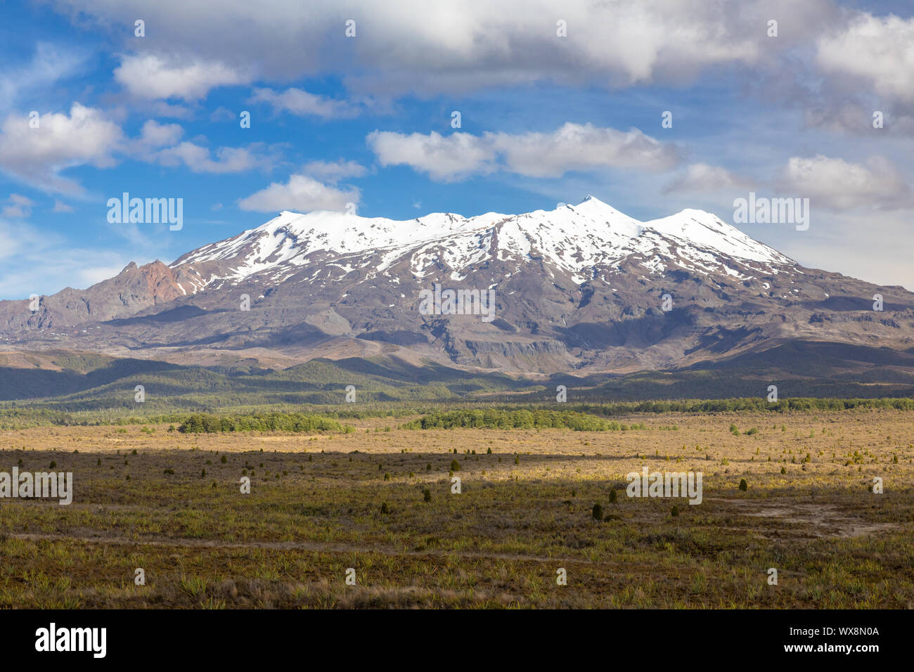 Mount Ruapehu volcano in New Zealand Stock Photo - Alamy