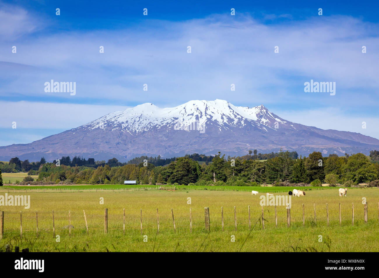 Mount Ruapehu volcano in New Zealand Stock Photo - Alamy