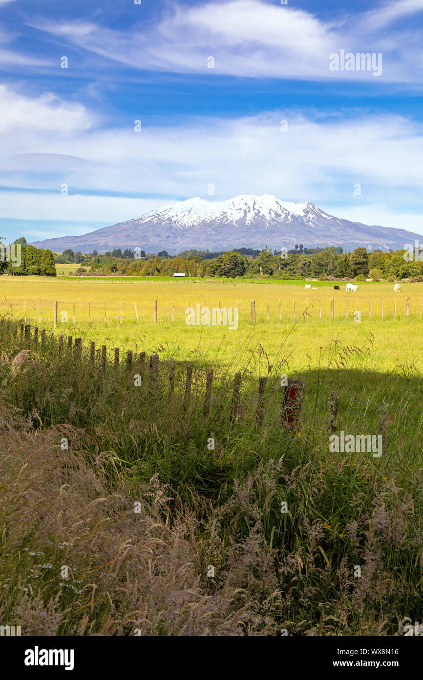 Mount Ruapehu volcano in New Zealand Stock Photo - Alamy