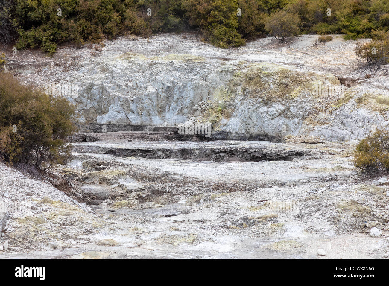 geothermal activity at Rotorua in New Zealand Stock Photo - Alamy