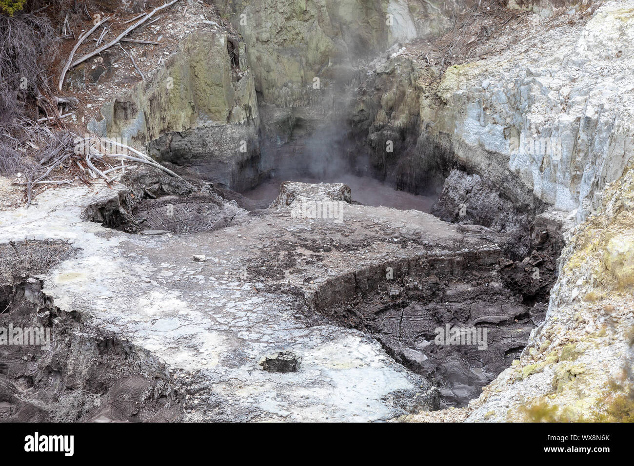 geothermal activity at Rotorua in New Zealand Stock Photo - Alamy
