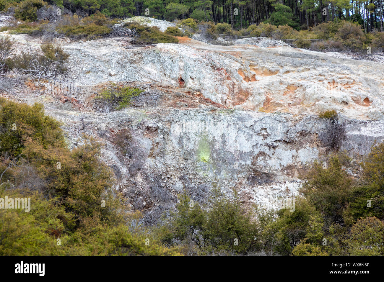 geothermal activity at Rotorua in New Zealand Stock Photo - Alamy