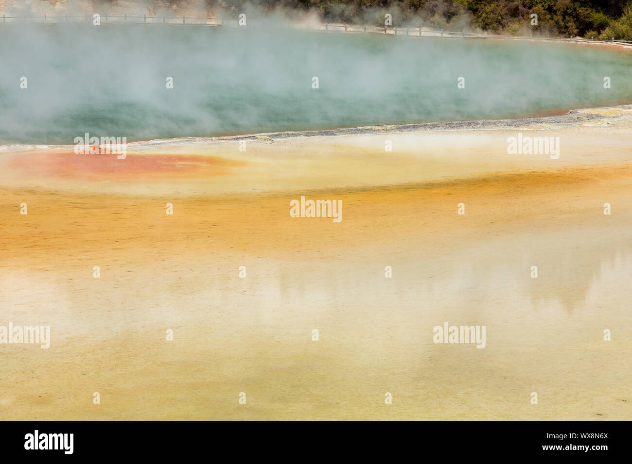 geothermal activity at Rotorua in New Zealand Stock Photo - Alamy