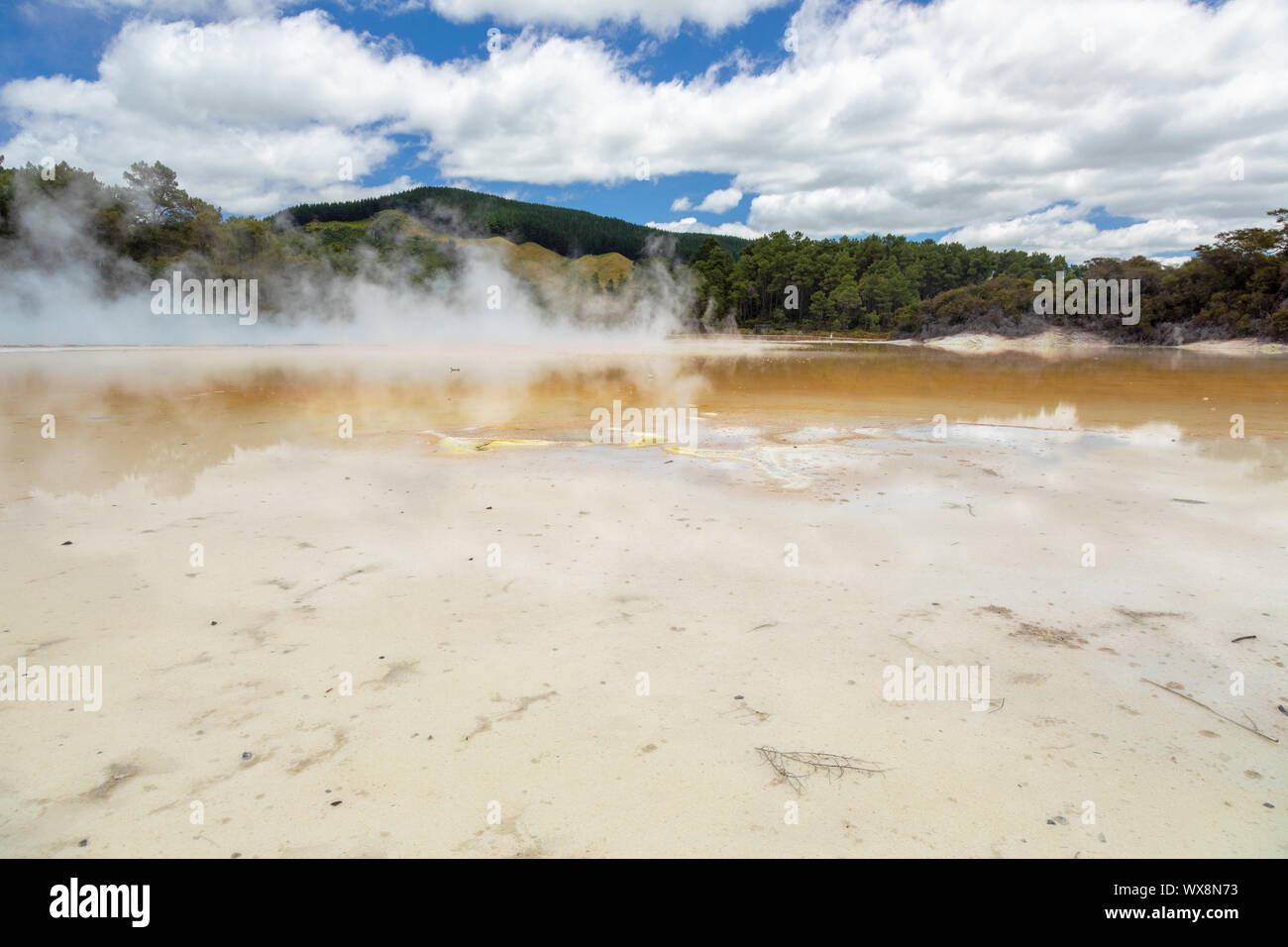 geothermal activity at Rotorua in New Zealand Stock Photo - Alamy