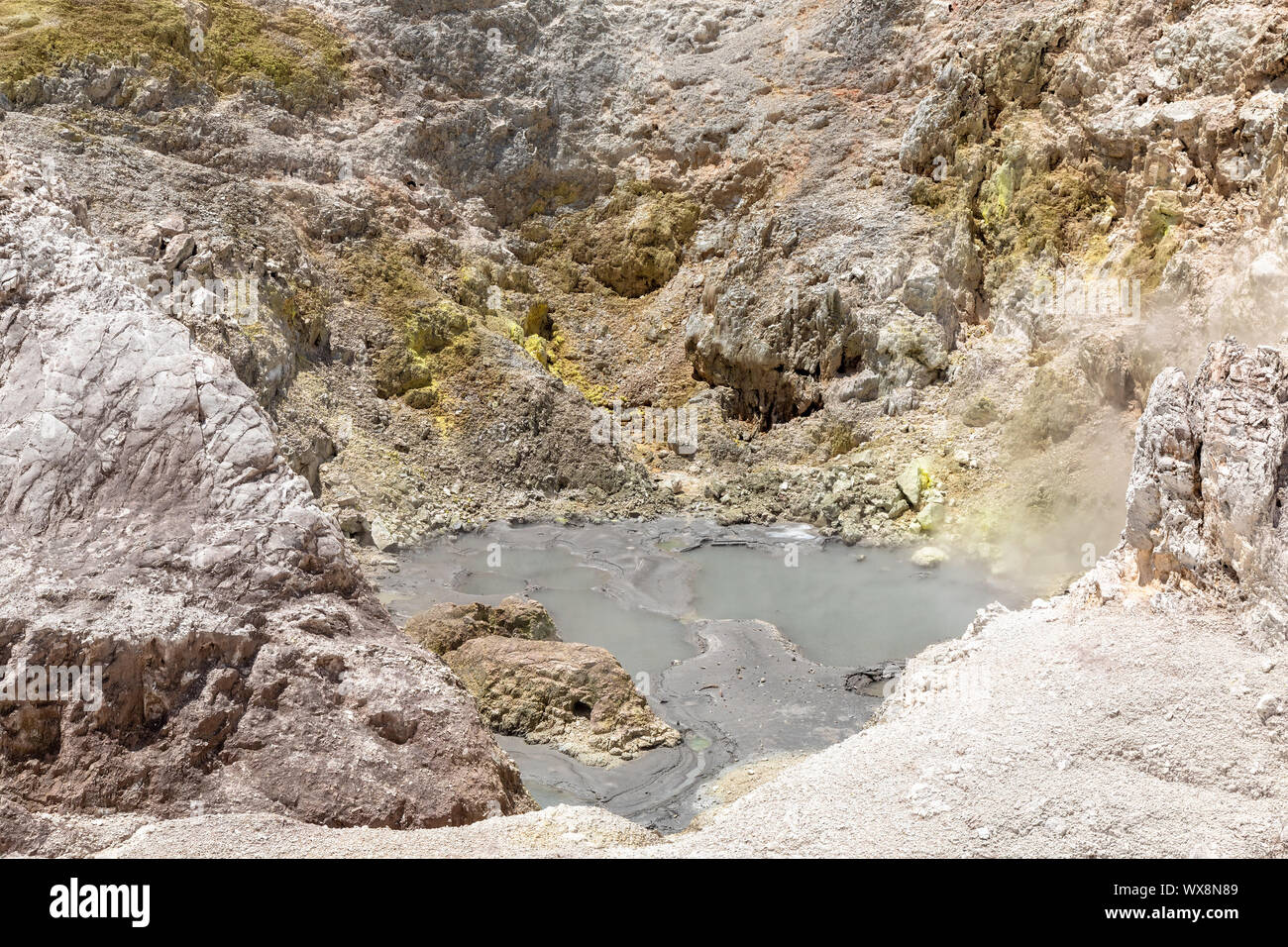 geothermal activity at Rotorua in New Zealand Stock Photo - Alamy