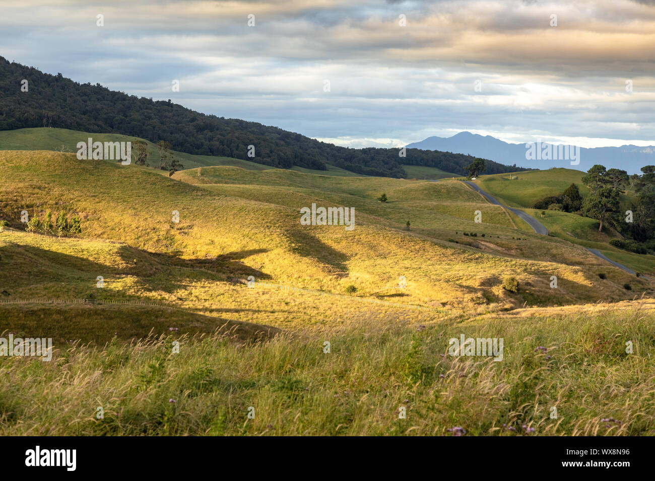 typical rural landscape in New Zealand Stock Photo - Alamy