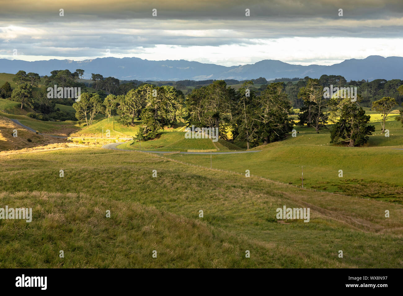 typical rural landscape in New Zealand Stock Photo - Alamy