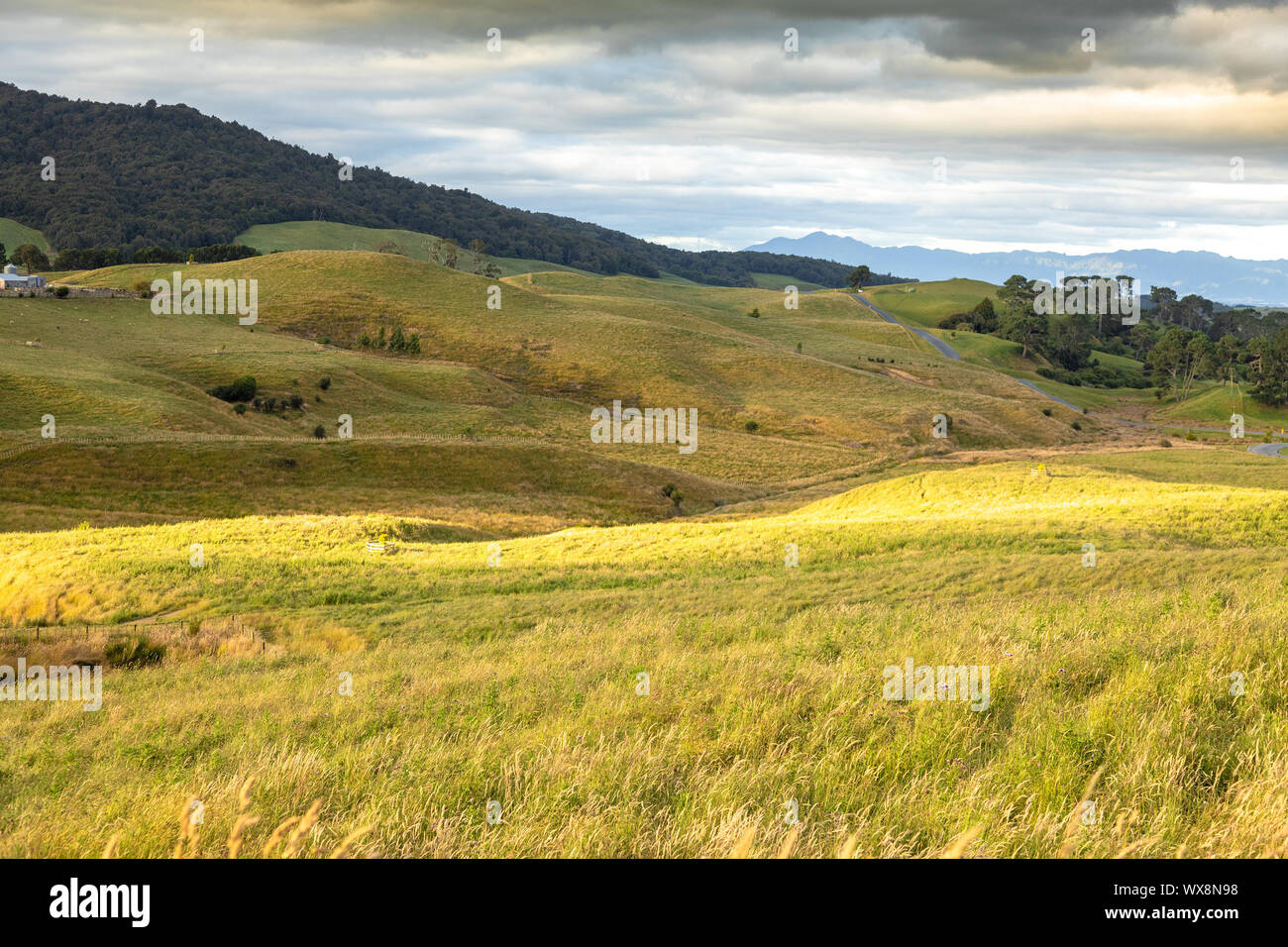 typical rural landscape in New Zealand Stock Photo - Alamy