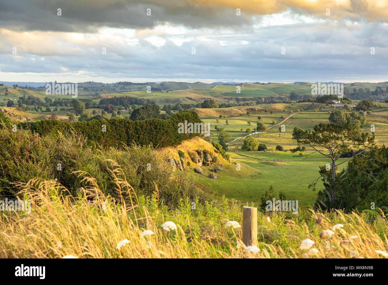 typical rural landscape in New Zealand Stock Photo - Alamy
