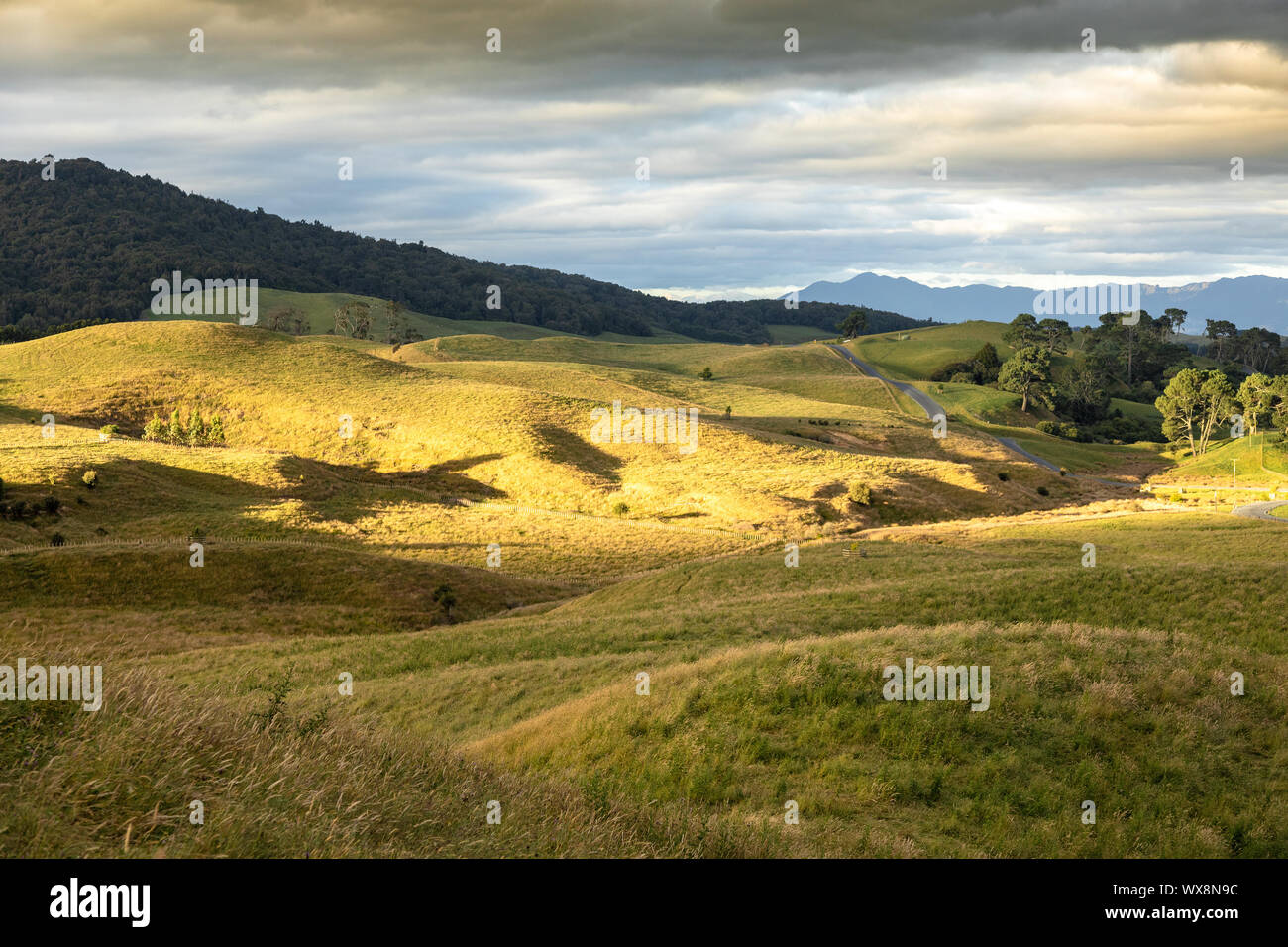typical rural landscape in New Zealand Stock Photo - Alamy