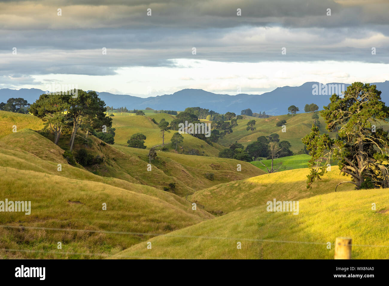 typical rural landscape in New Zealand Stock Photo - Alamy