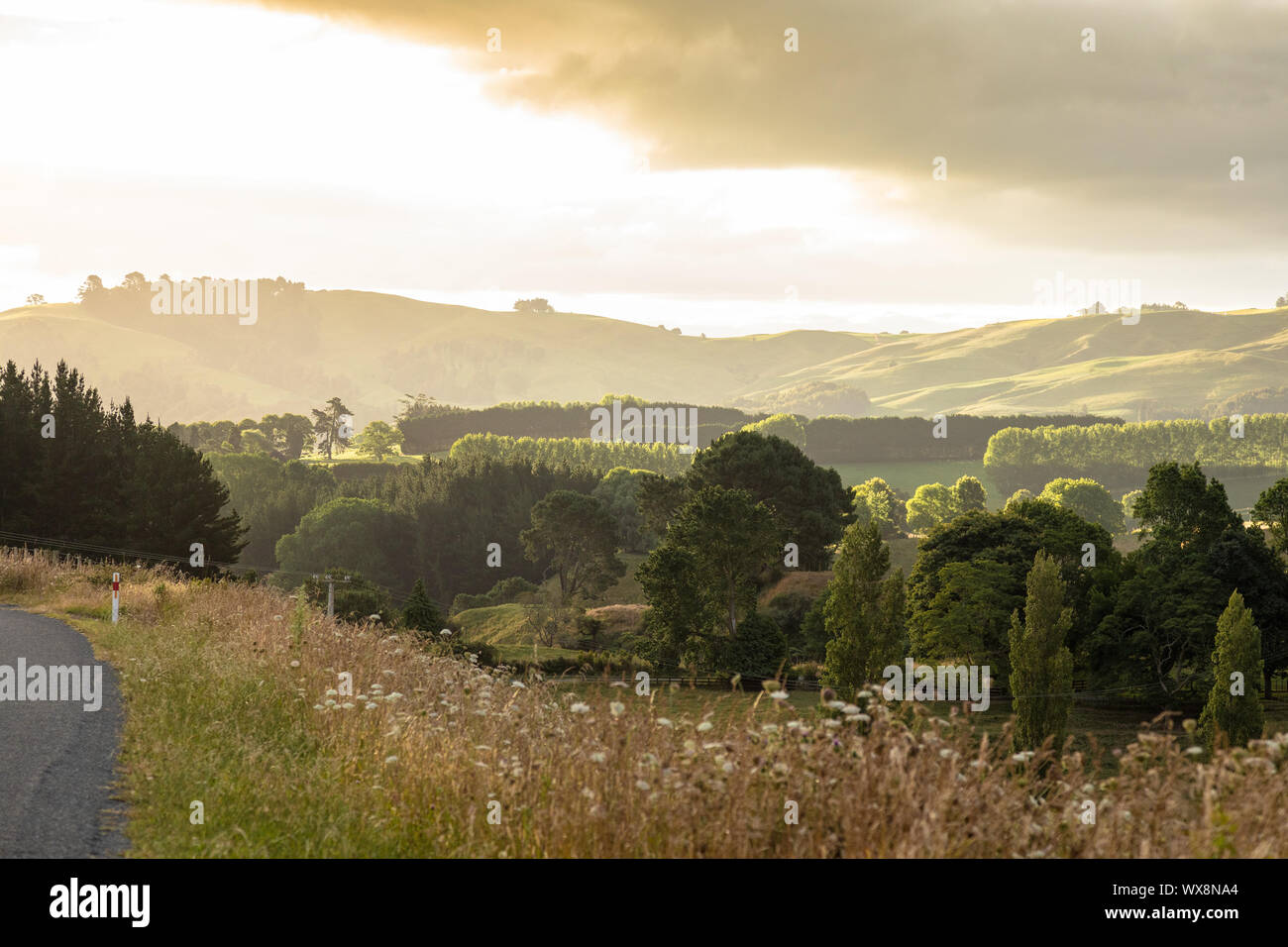 typical rural landscape in New Zealand Stock Photo - Alamy