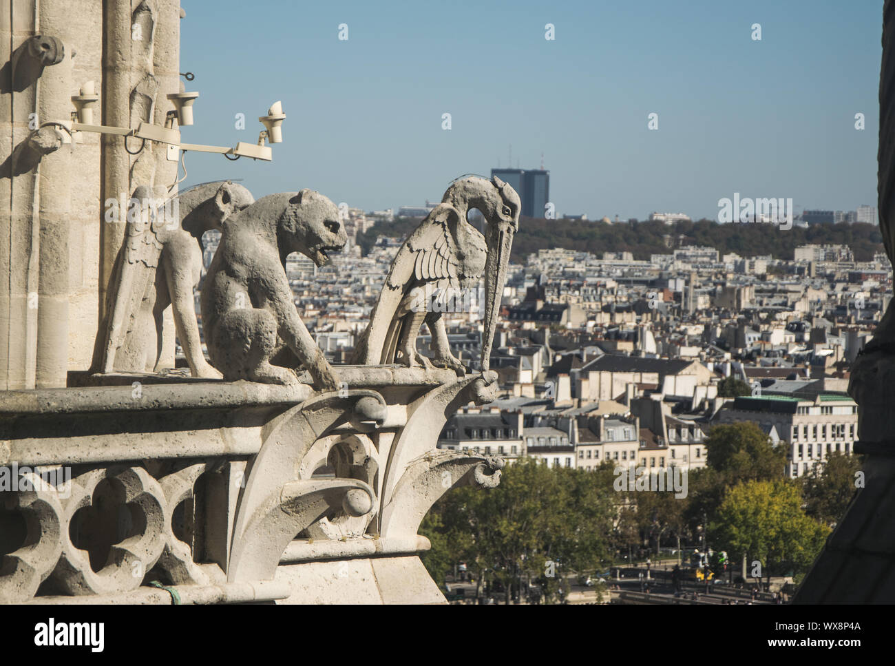 PARIS, FRANCE - 02 OCTOBER 2018: Mythical creature gargoyle on roof of ...