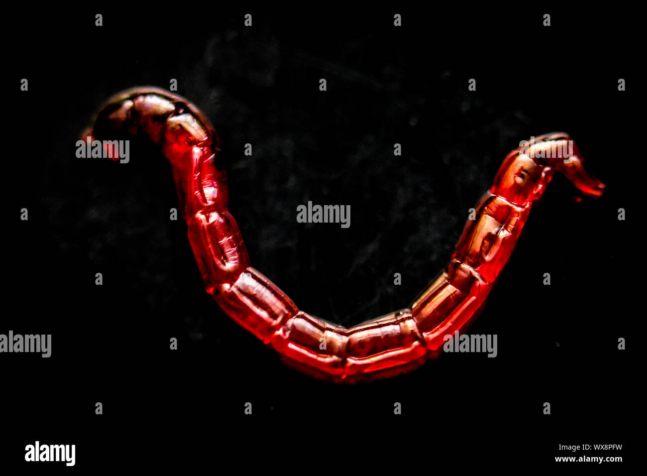 Red larvae hi-res stock photography and images - Alamy