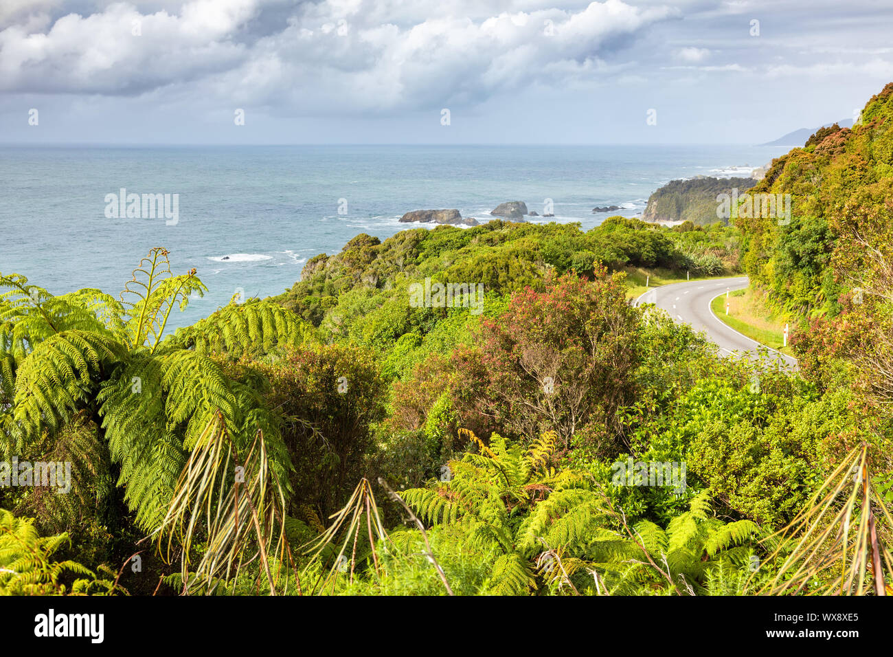 lush coast at New Zealand south Stock Photo - Alamy