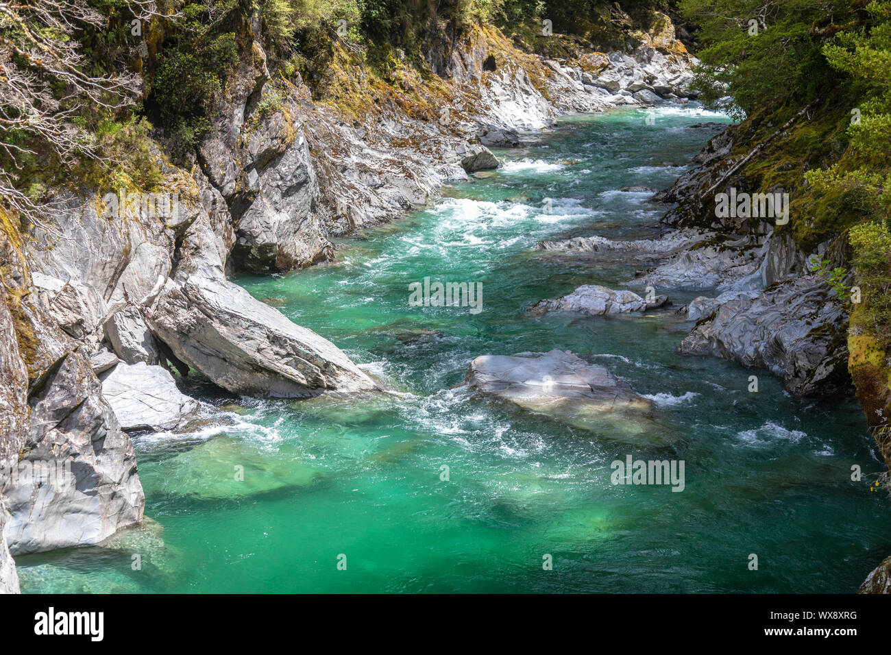 Haast new zealand hi-res stock photography and images - Alamy