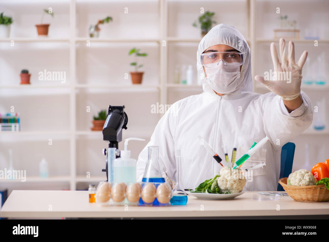 Scientist working in lab on GMO fruits and vegetables Stock Photo - Alamy
