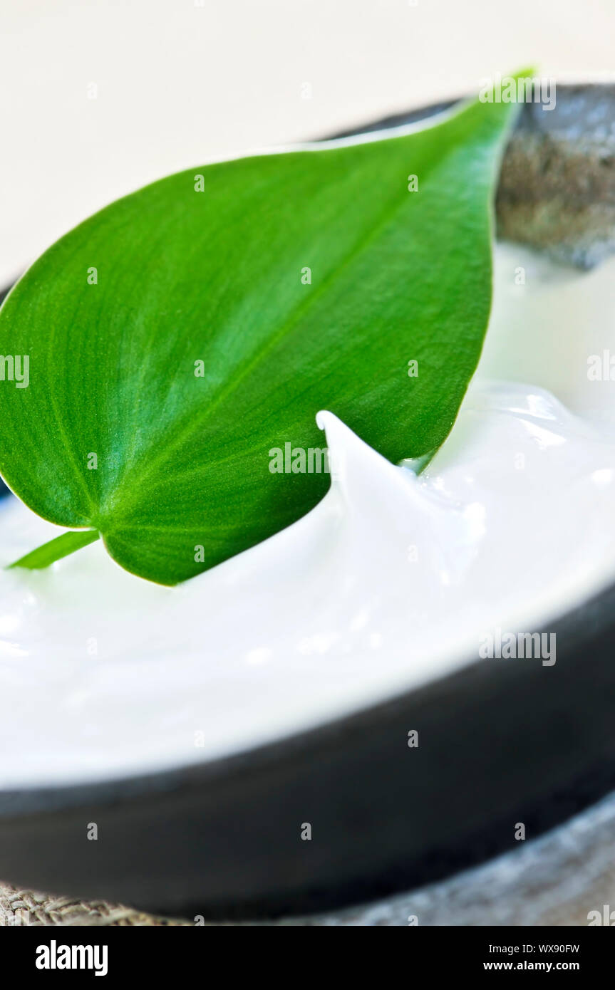 Natural face cream or skincare with green leaf Stock Photo - Alamy