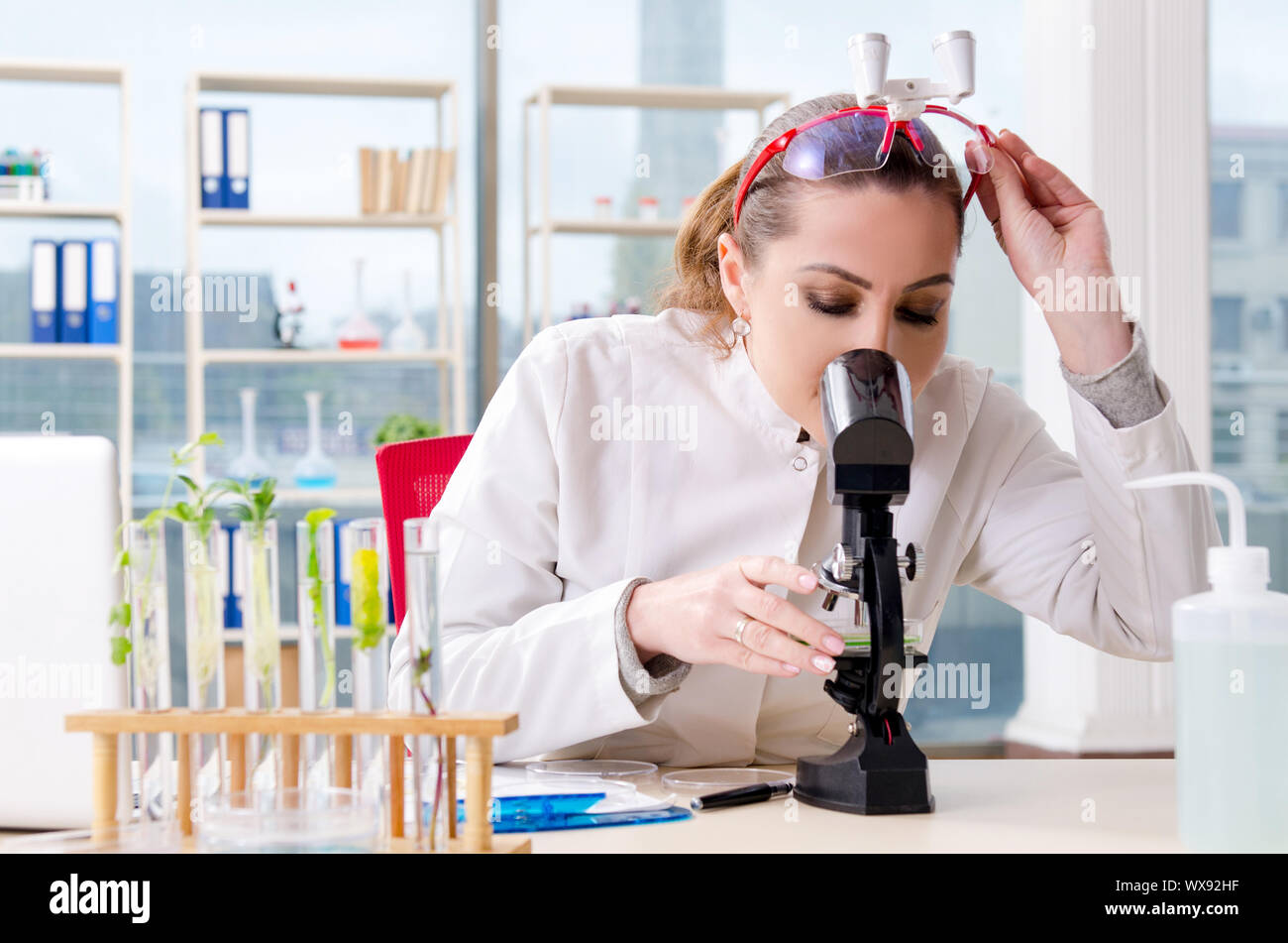Female biotechnology scientist chemist working in the lab Stock Photo ...