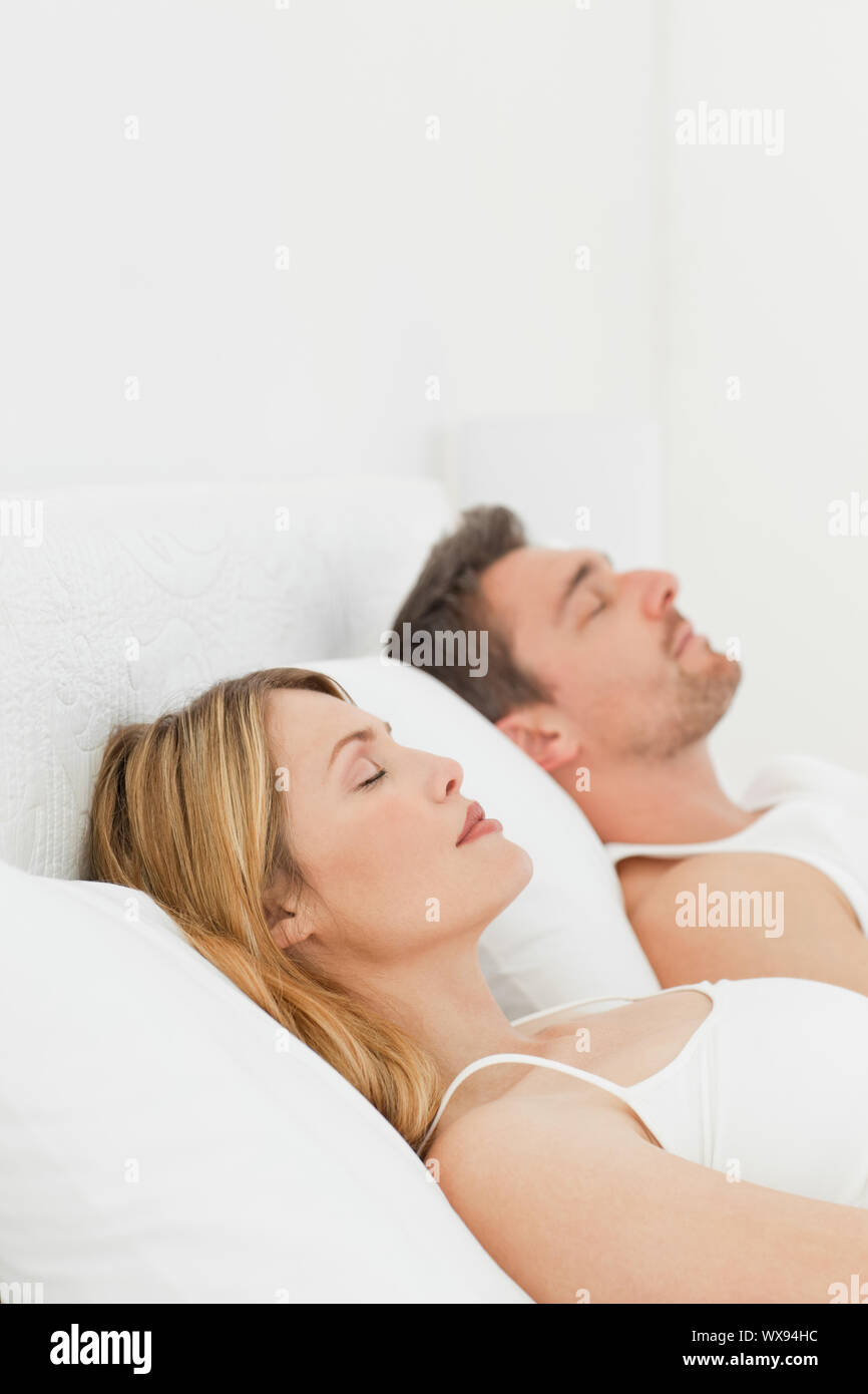 Calm pairs sleeping together at home Stock Photo - Alamy