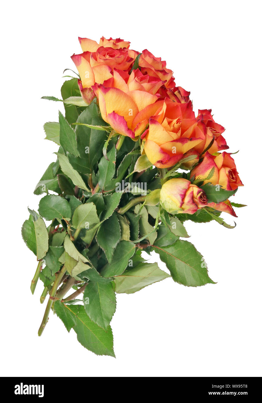 Real flying wedding bouquet of red roses isolated Stock Photo - Alamy