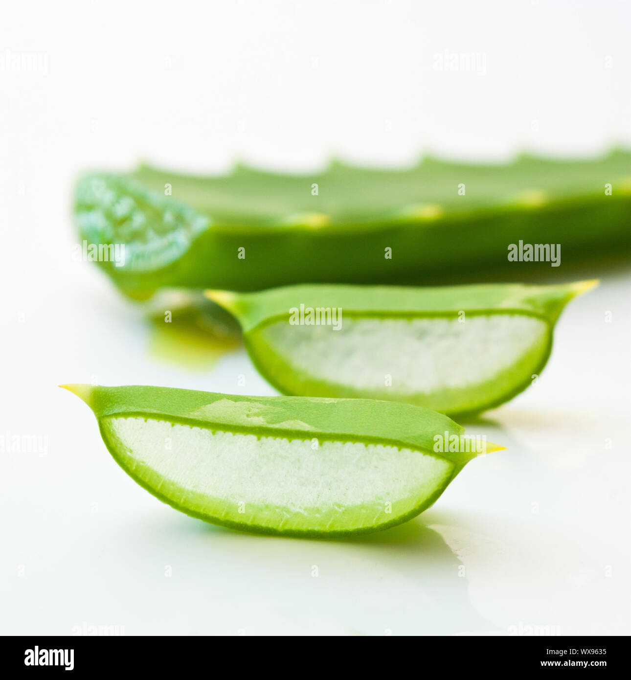 cut aloe leaves isolated on white background Stock Photo - Alamy