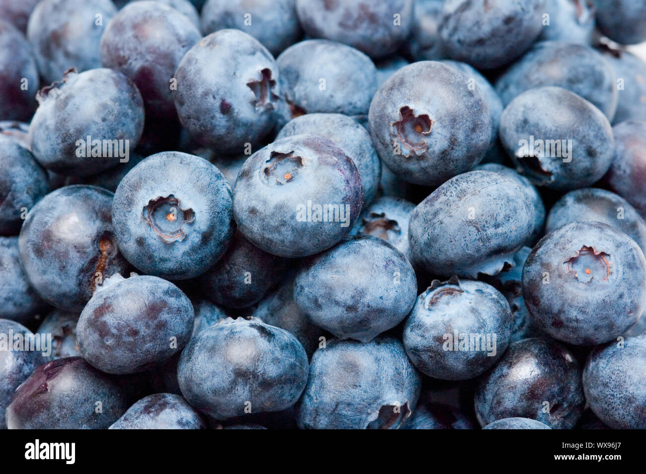Blueberry close up background texture Stock Photo - Alamy