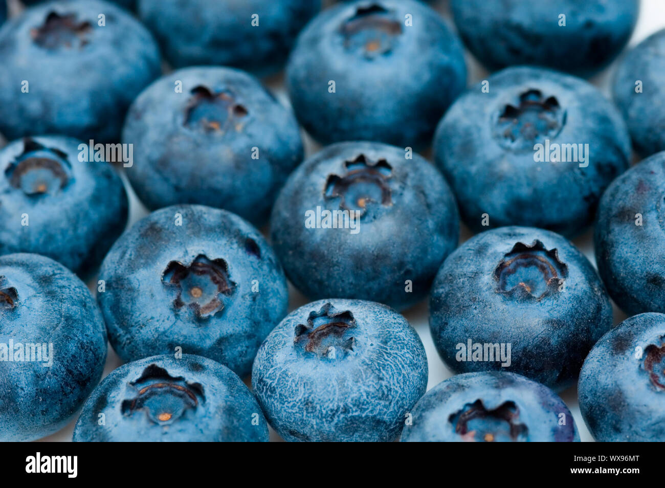 Blueberry close up background texture Stock Photo - Alamy