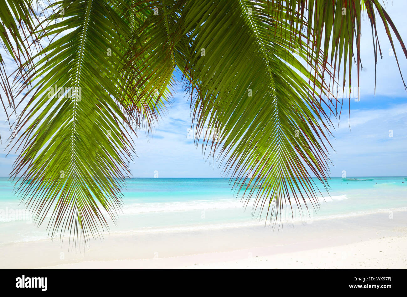 Beautiful caribbean beach in Dominican Republic Stock Photo - Alamy