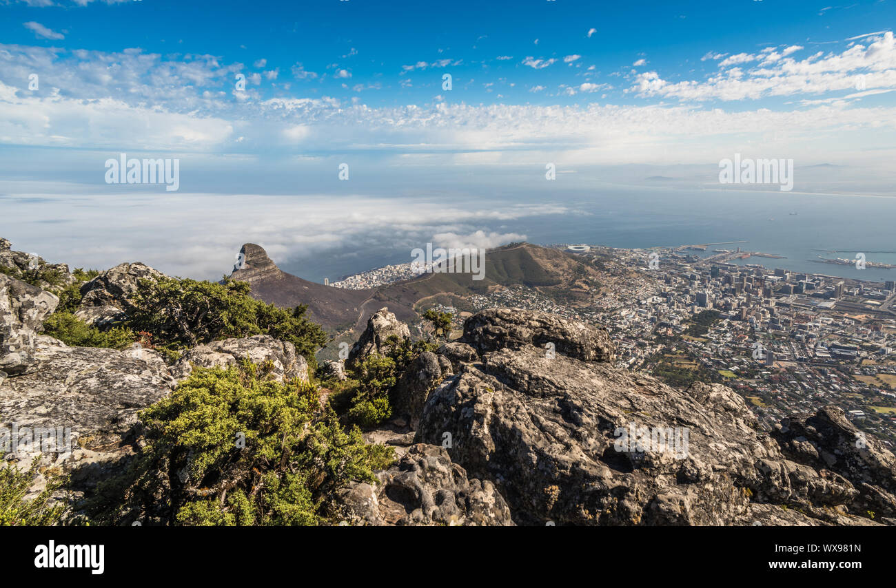 Lions head aerial view hi-res stock photography and images - Alamy