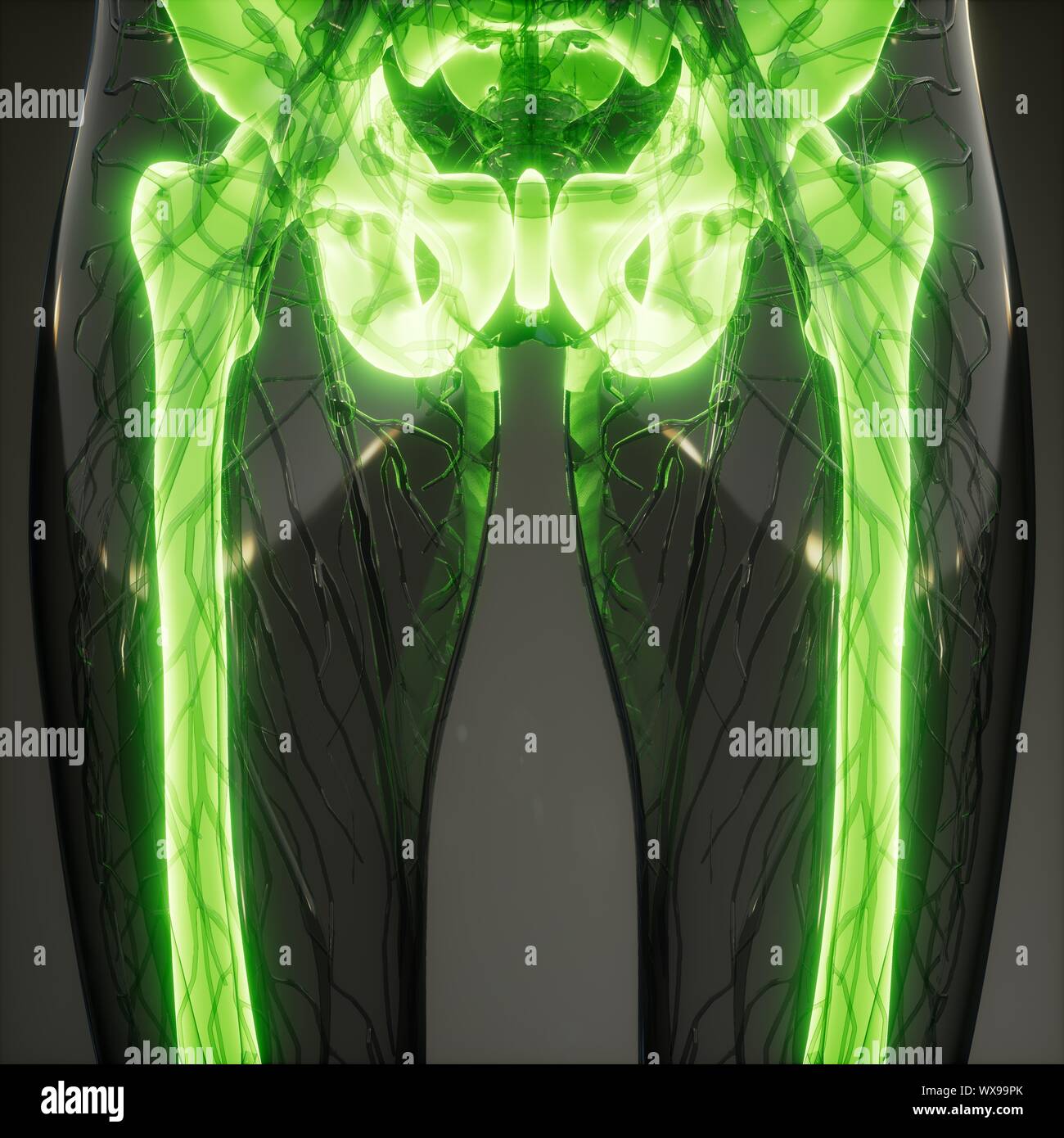 Rotating human body bone scan hi-res stock photography and images - Alamy