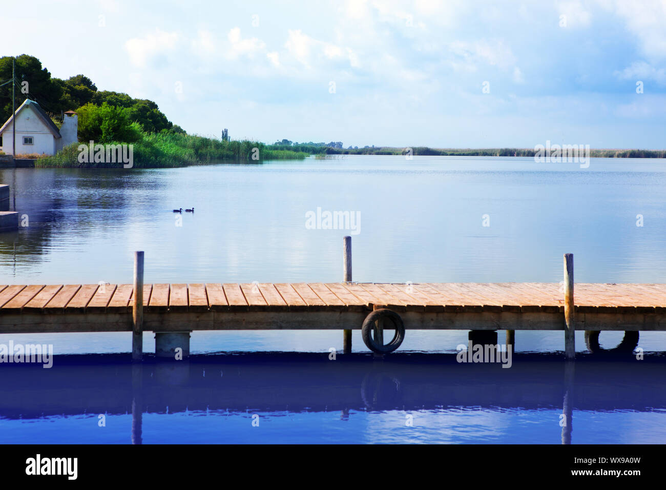 Albufera lake in Valencia El Saler under blue sky Stock Photo - Alamy