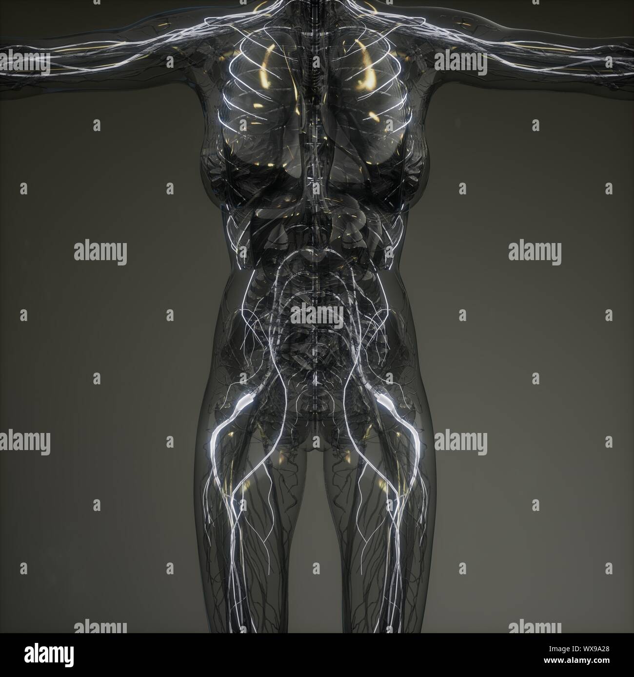 Human Neurology System Radiology Exam Stock Photo - Alamy