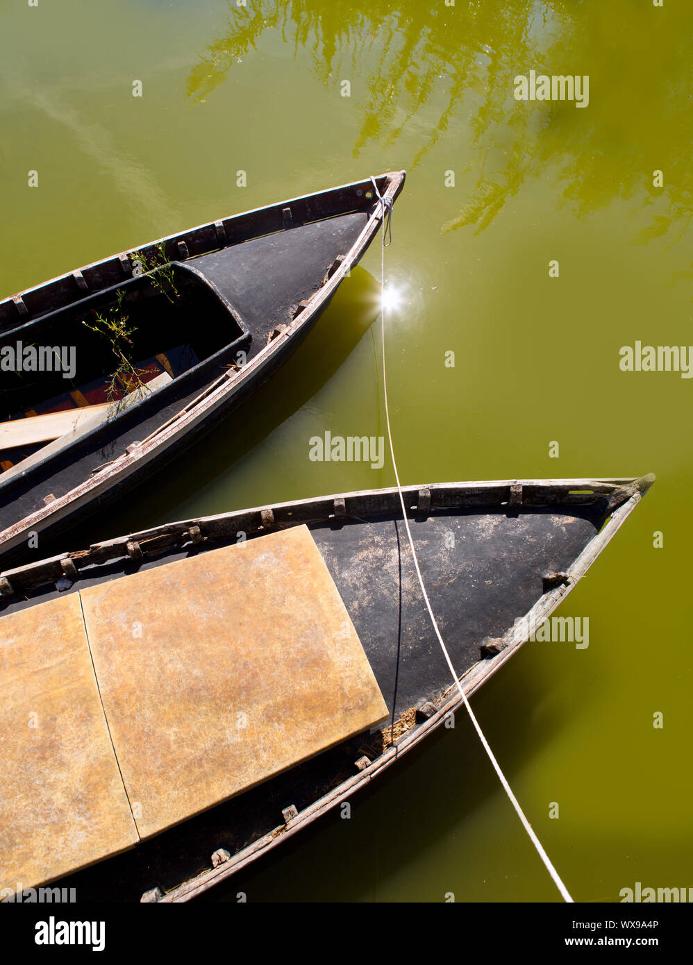 Palmar river hi-res stock photography and images - Alamy