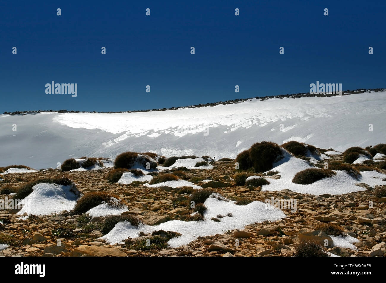 Snow landscape. Shine of snow Stock Photo - Alamy