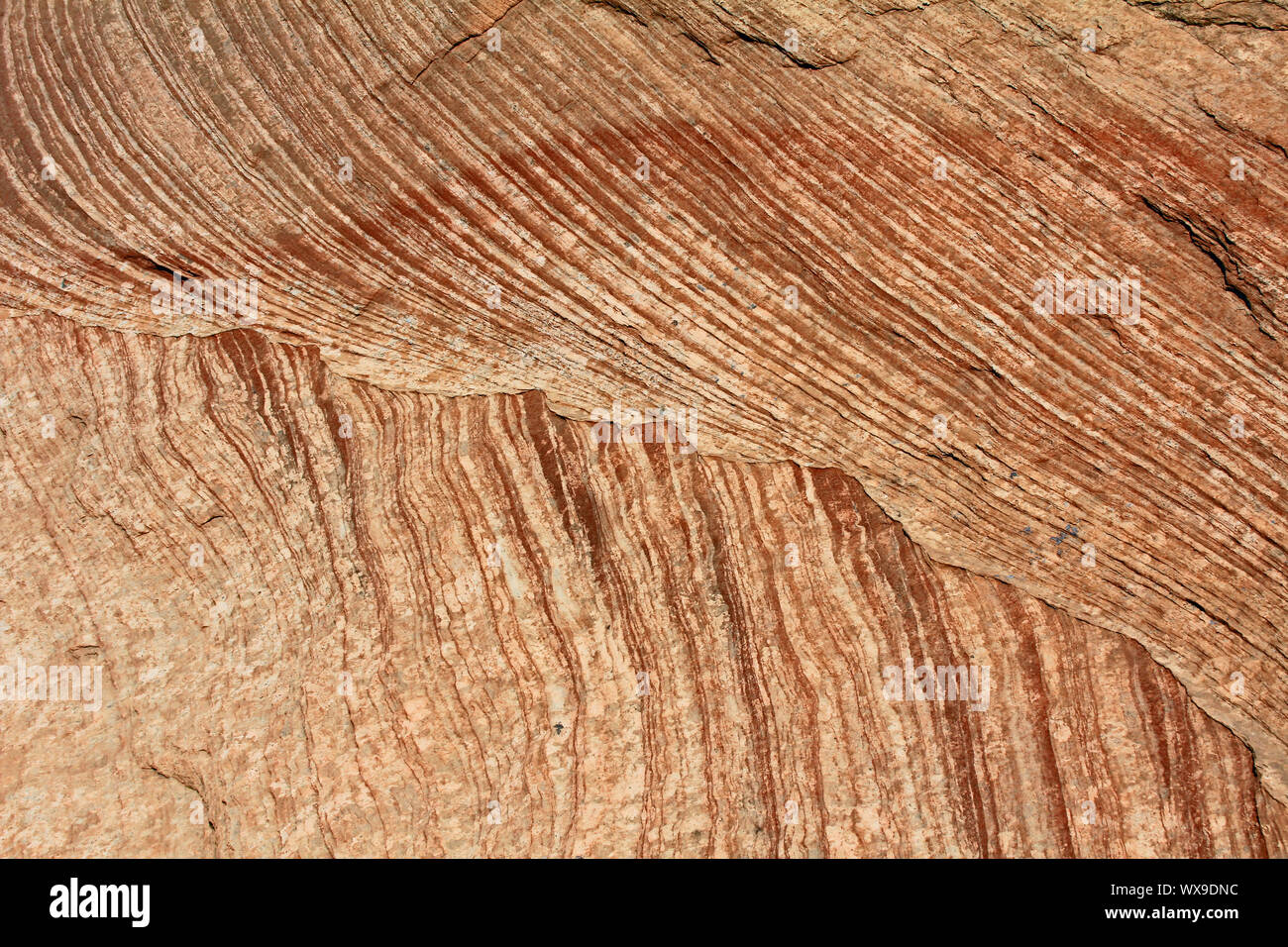 Sandstone texture hi-res stock photography and images - Alamy
