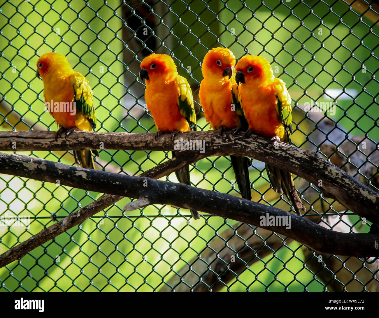 Eye portraits hi-res stock photography and images - Alamy