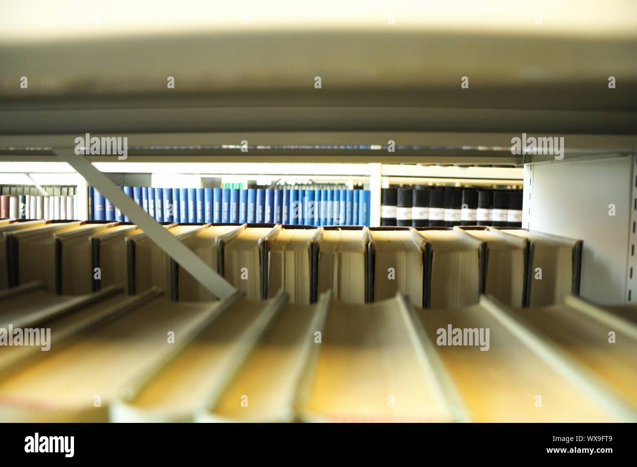 look through books showing library or university education concept ...