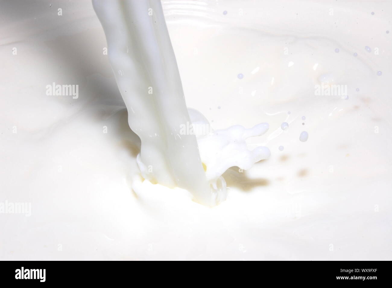 milk splashing into fresh milk with drops Stock Photo - Alamy