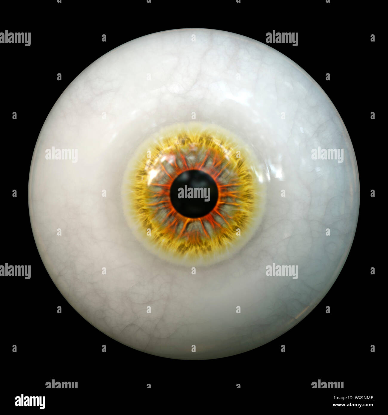 An image of a scary halloween eyeball Stock Photo - Alamy