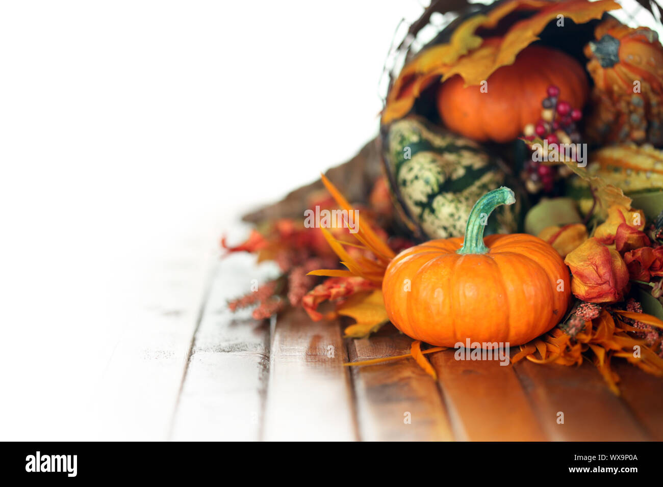 Pumpkins, gourds, and leaves in an Autumn cornucopia background Stock ...