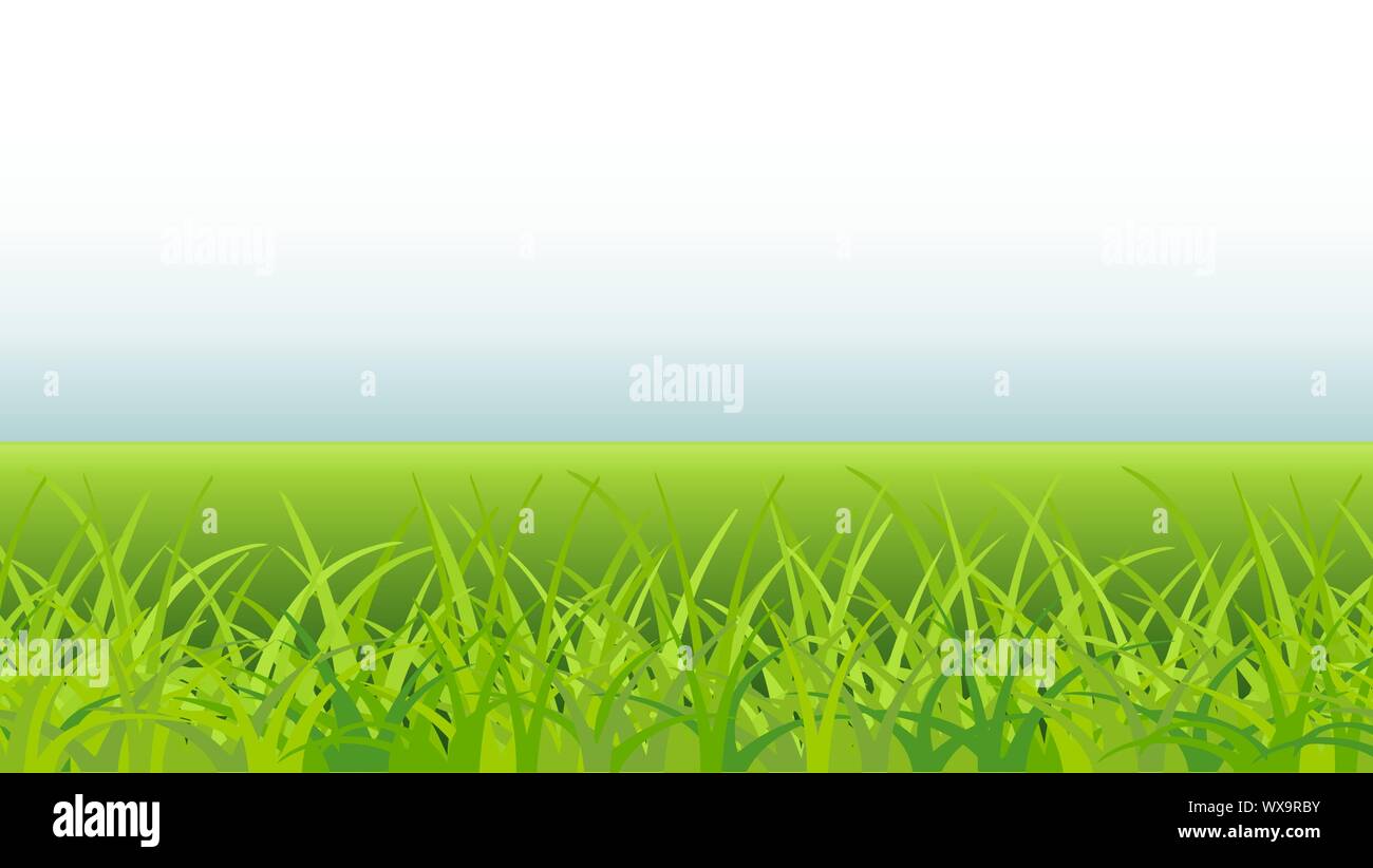 Vector morning landscape with field Stock Vector Image & Art - Alamy