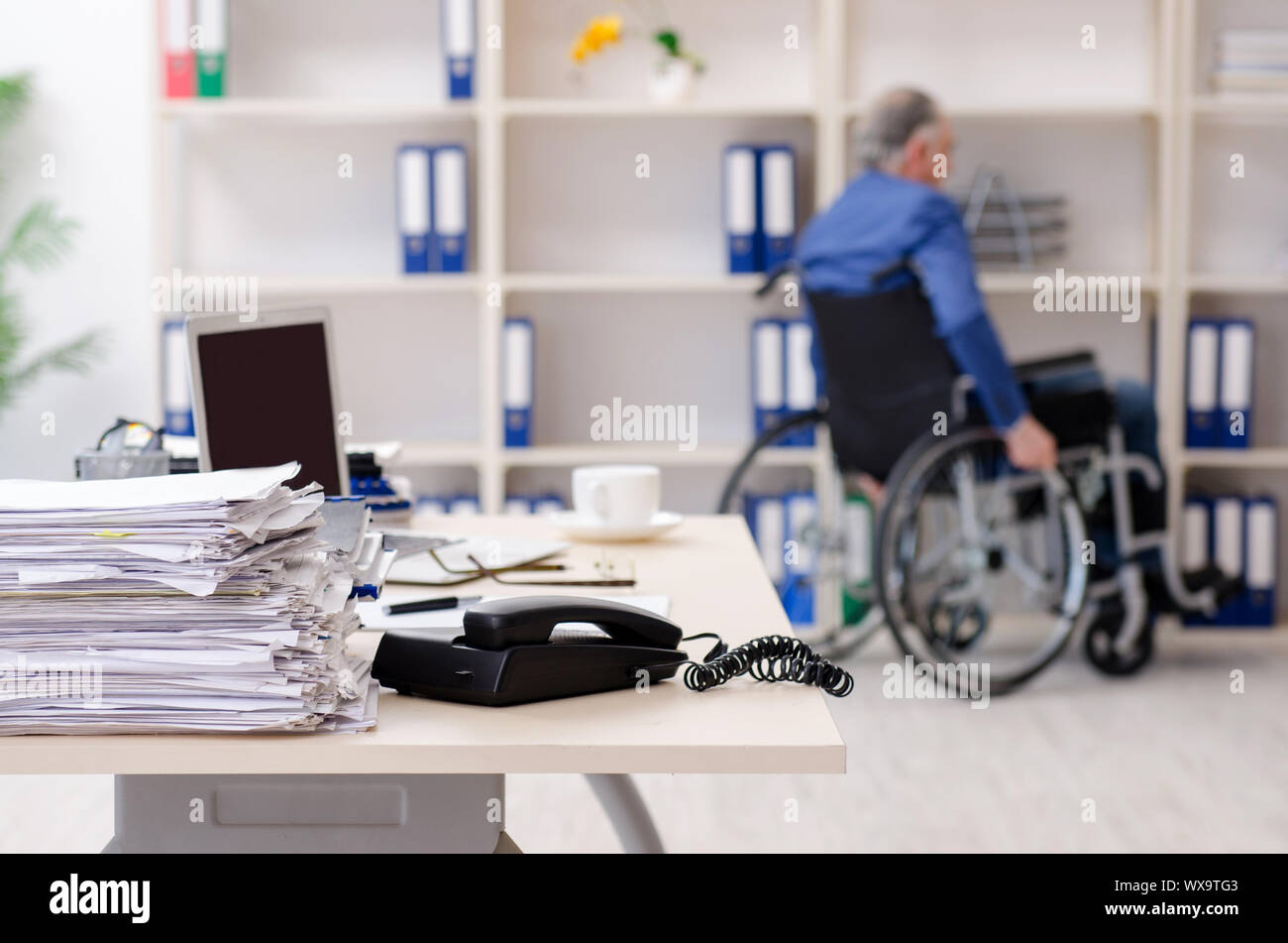 Aged employee in wheelchair working in the office Stock Photo - Alamy