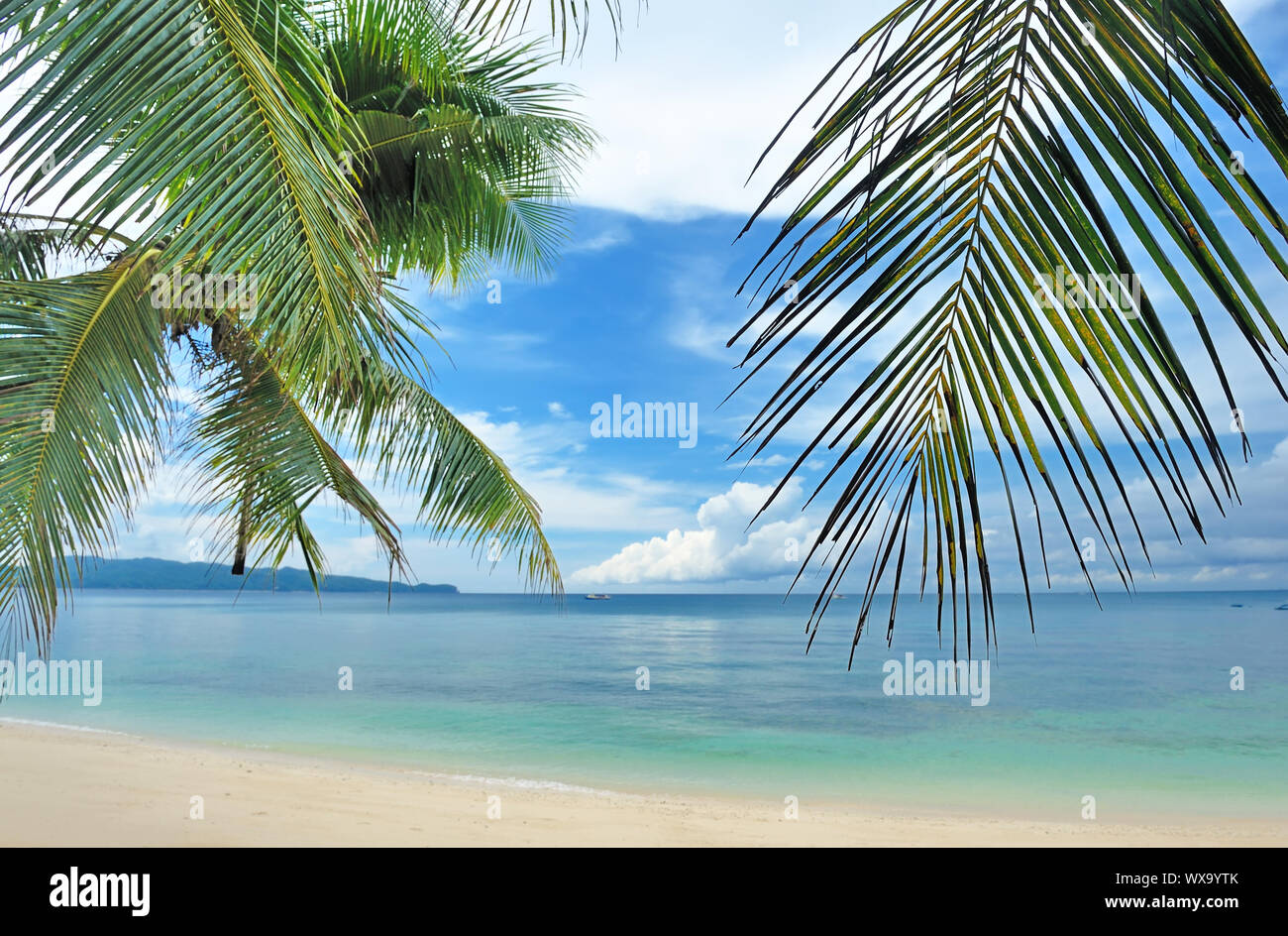 Beautiful beach with palm trees at Philippines Stock Photo - Alamy