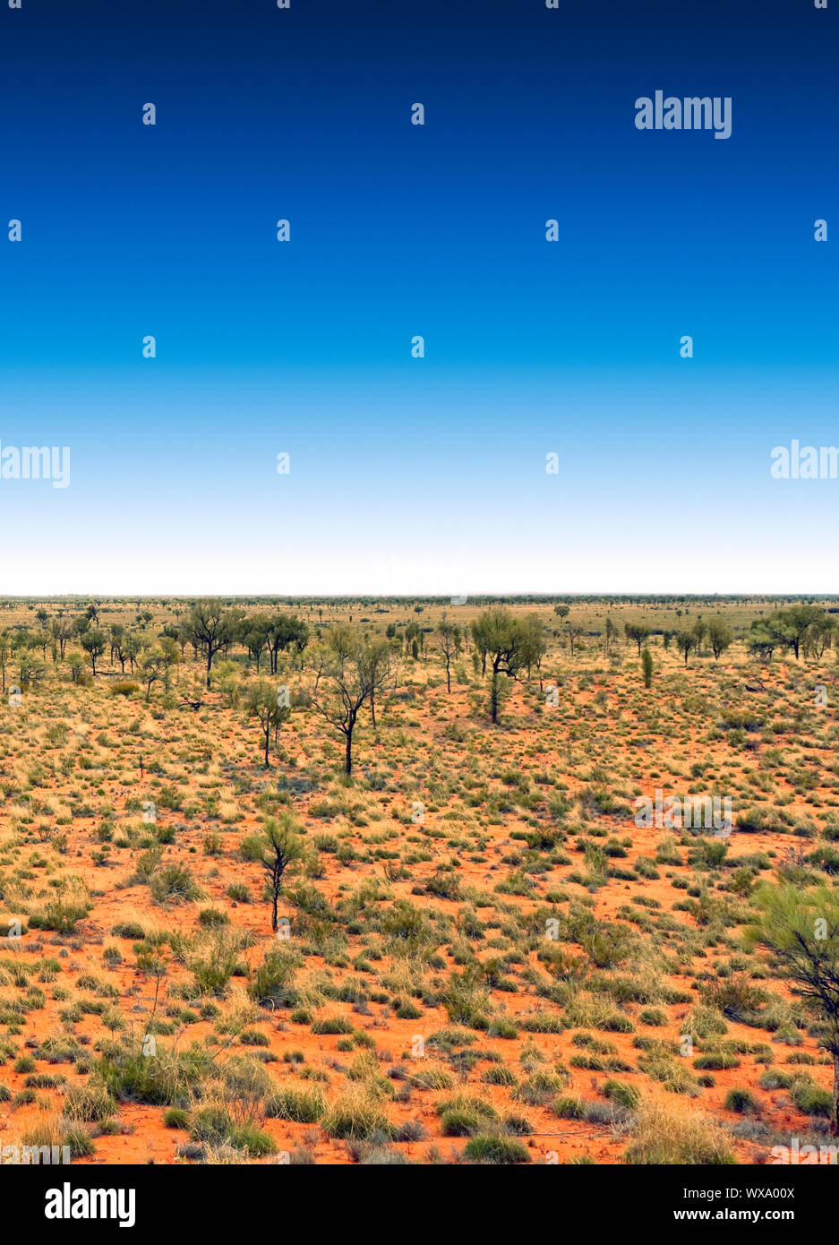 A photography of the australia outback with a deep blue sky Stock Photo ...