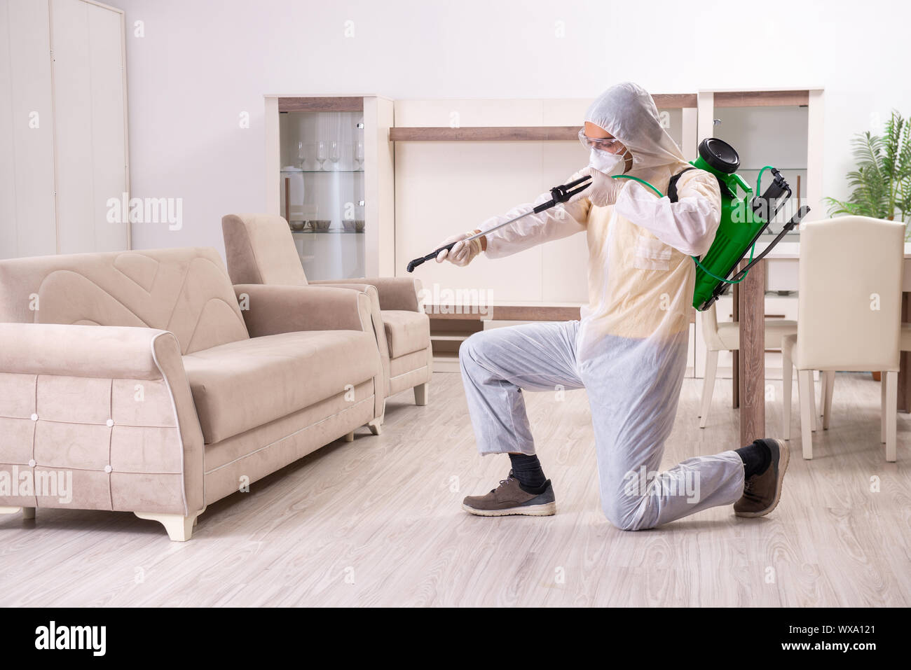 Pest control contractor working in the flat Stock Photo - Alamy