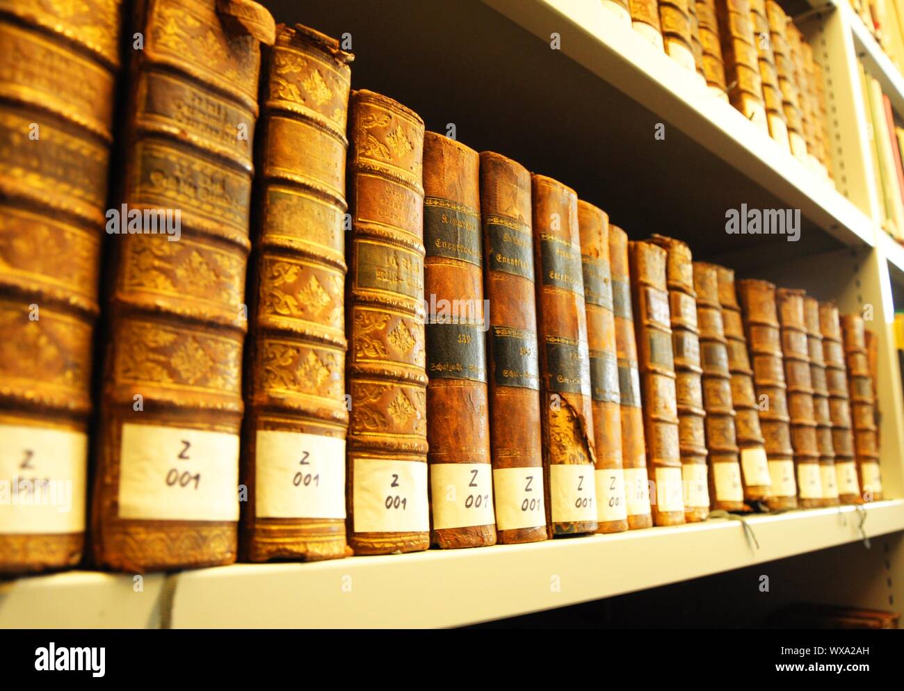 books in a library bookshelf for university education Stock Photo - Alamy