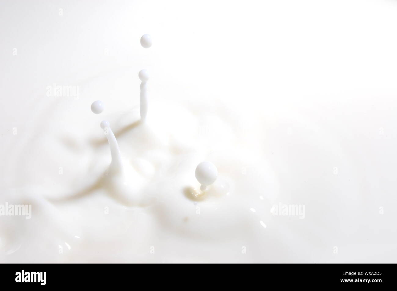 drop of milk splashes into fresh milk Stock Photo - Alamy