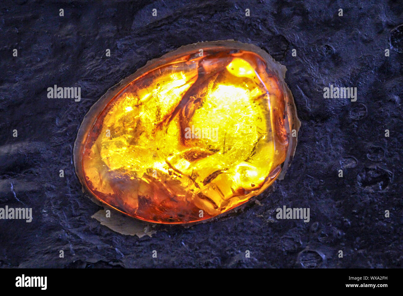 a close up of amber Stock Photo - Alamy