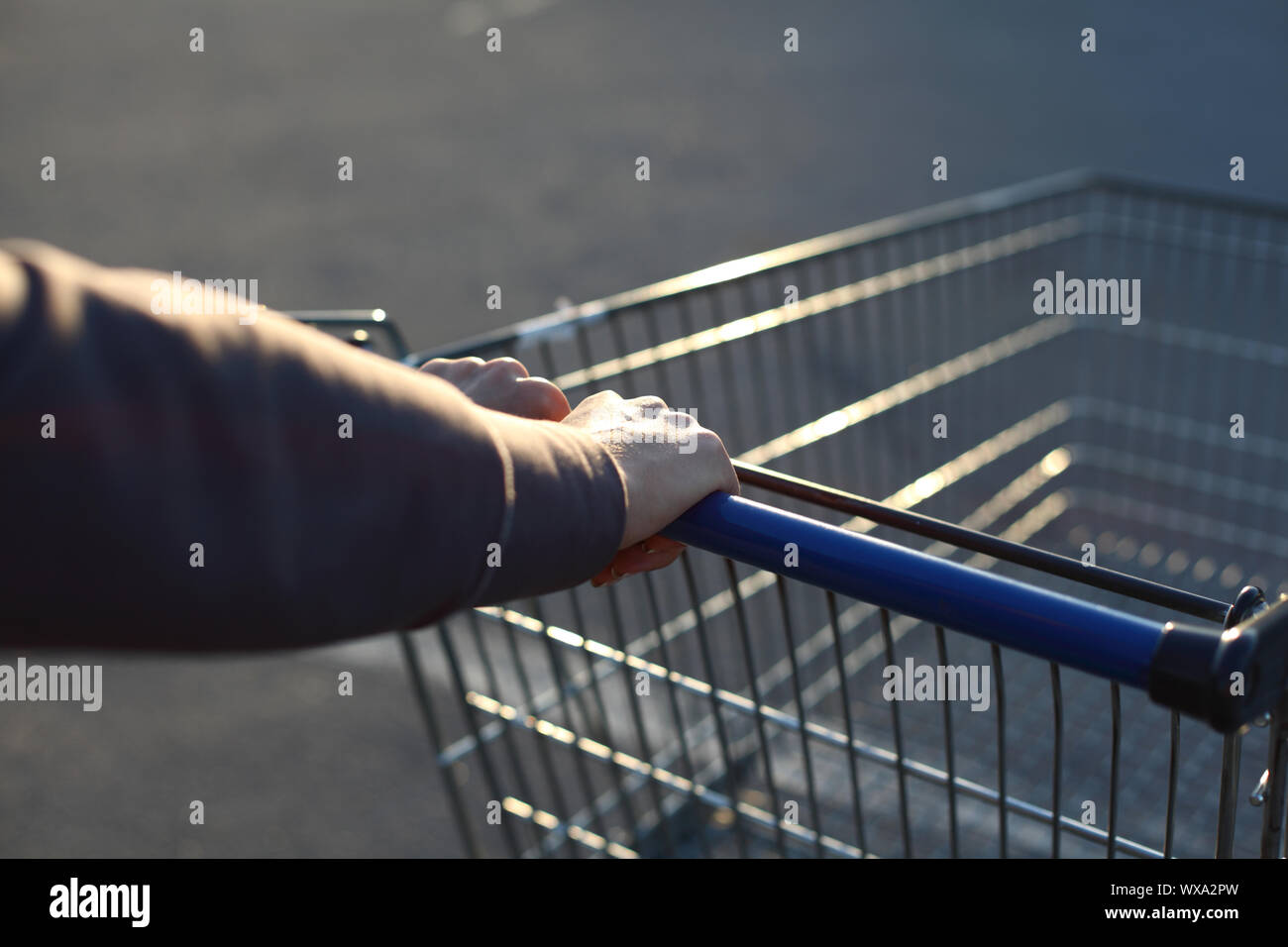 take cart in hands go shoping Stock Photo - Alamy